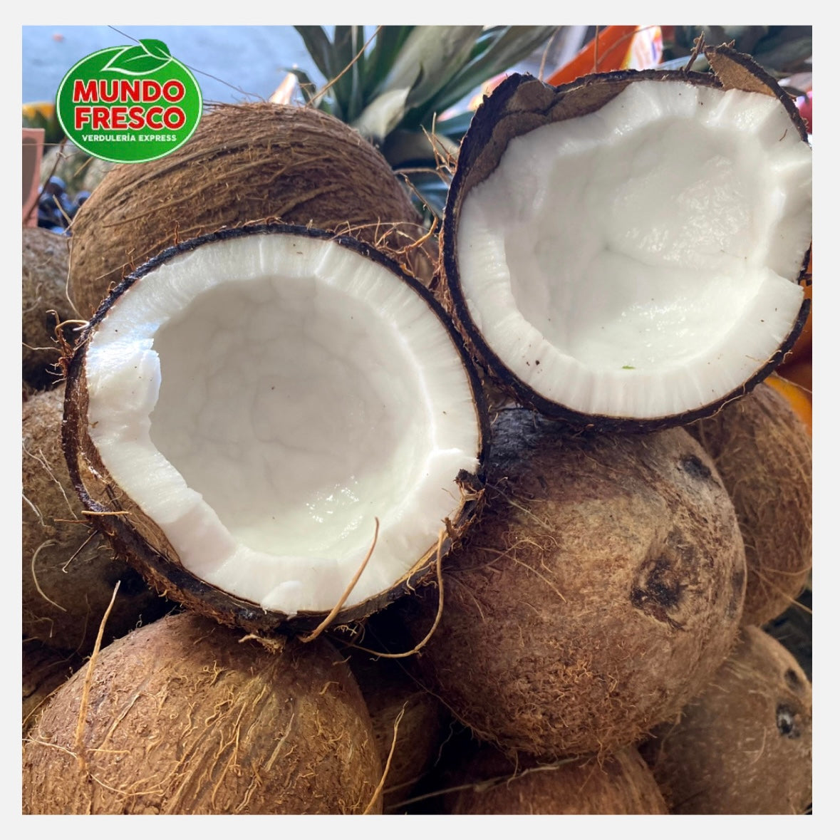 Coco Seco - 1 Unidad – mundofresco