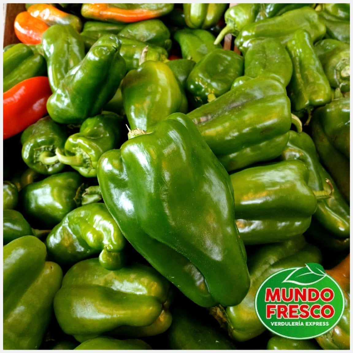 Morron Verde - 500G – mundofresco